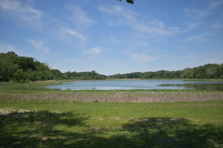 Lake Cicott residents concerned by receding shoreline | News | reporter.net