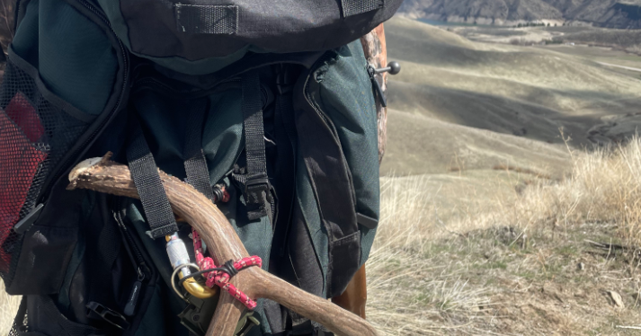 No deer? No elk? No sheds. Don’t jump the gun on shed hunting season ...