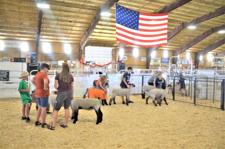 Madison County Fair runs through Saturday | Local News ...
