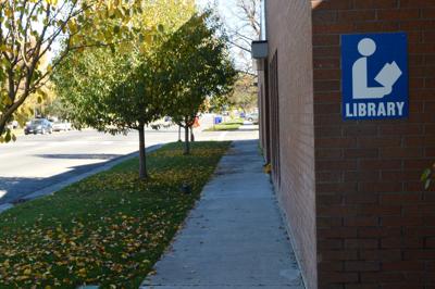 Former astronomy professor and Madison Library team up for eclipse ...