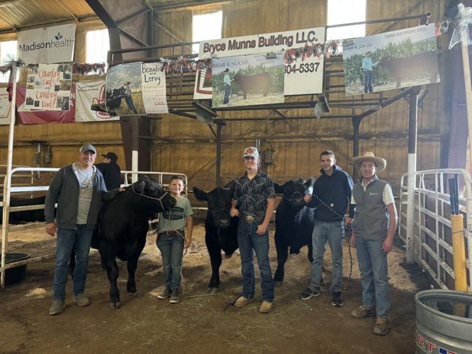 Madison County Fair kicks off at fairgrounds | Local News ...