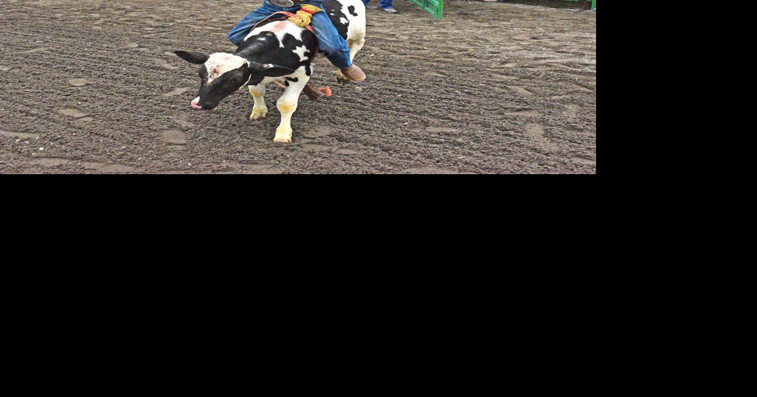 Photos: St. Anthony's Pioneer Days Rodeo | Local News ...