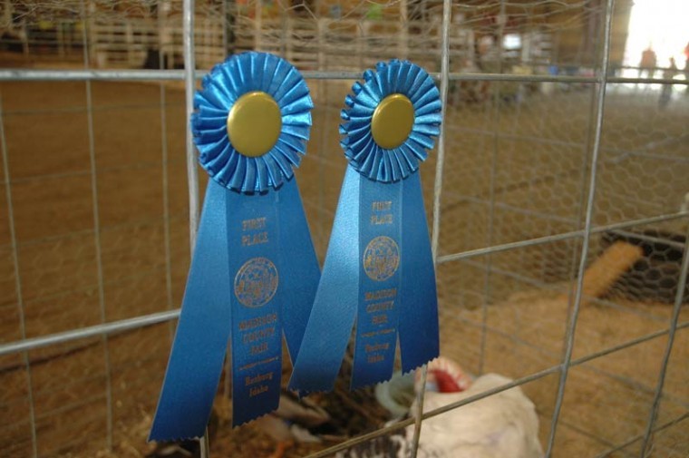 Madison County Fair | | rexburgstandardjournal.com