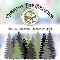 Public Works Christmas tree collection to take place | Local News ...