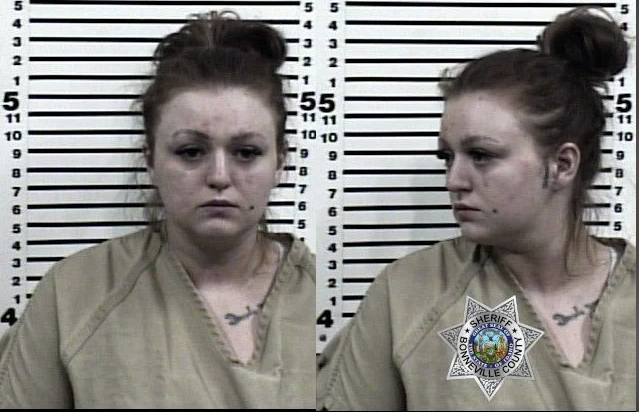 Idaho Falls and Idaho State Police arrest two after high-speed chase ...