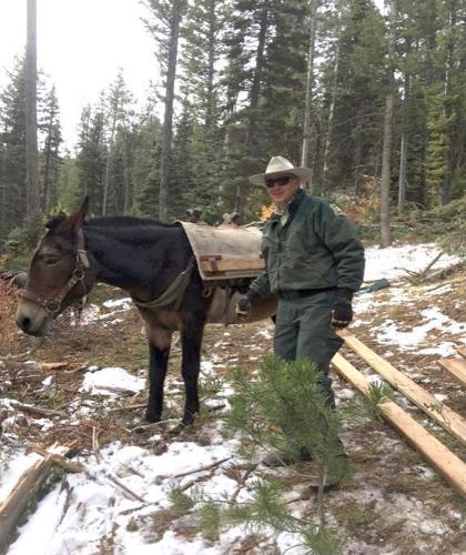 Jay Pence named Ranger of the Year | Outdoors | rexburgstandardjournal.com