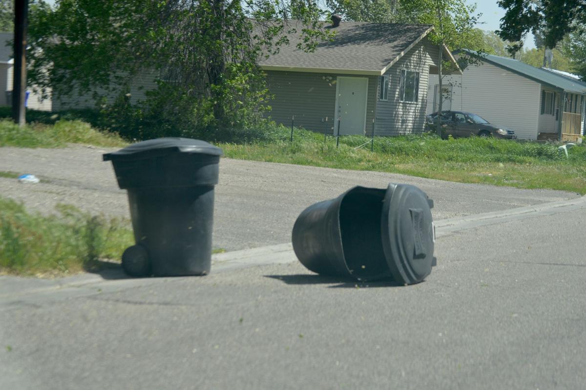 Wind storm whips through Upper Valley knocking down trees | News ...