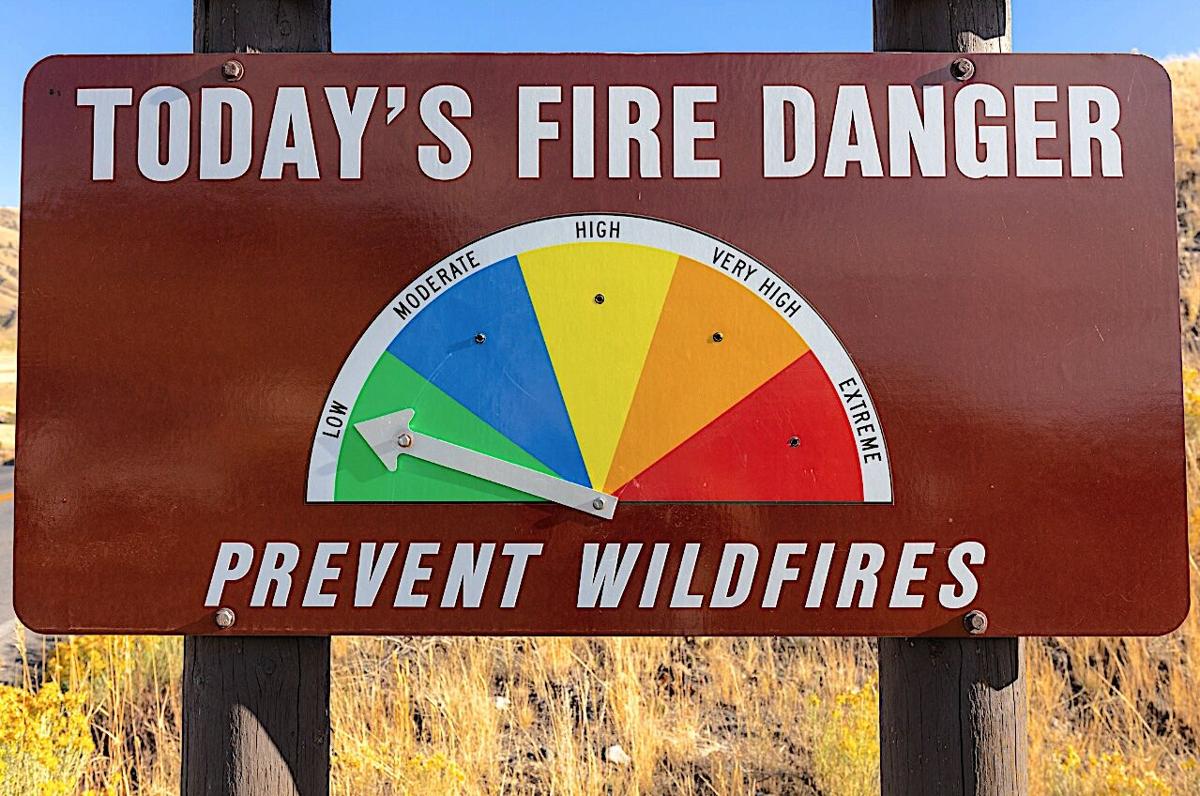 First confirmed 2025 wild land fire in Yellowstone National Park ...