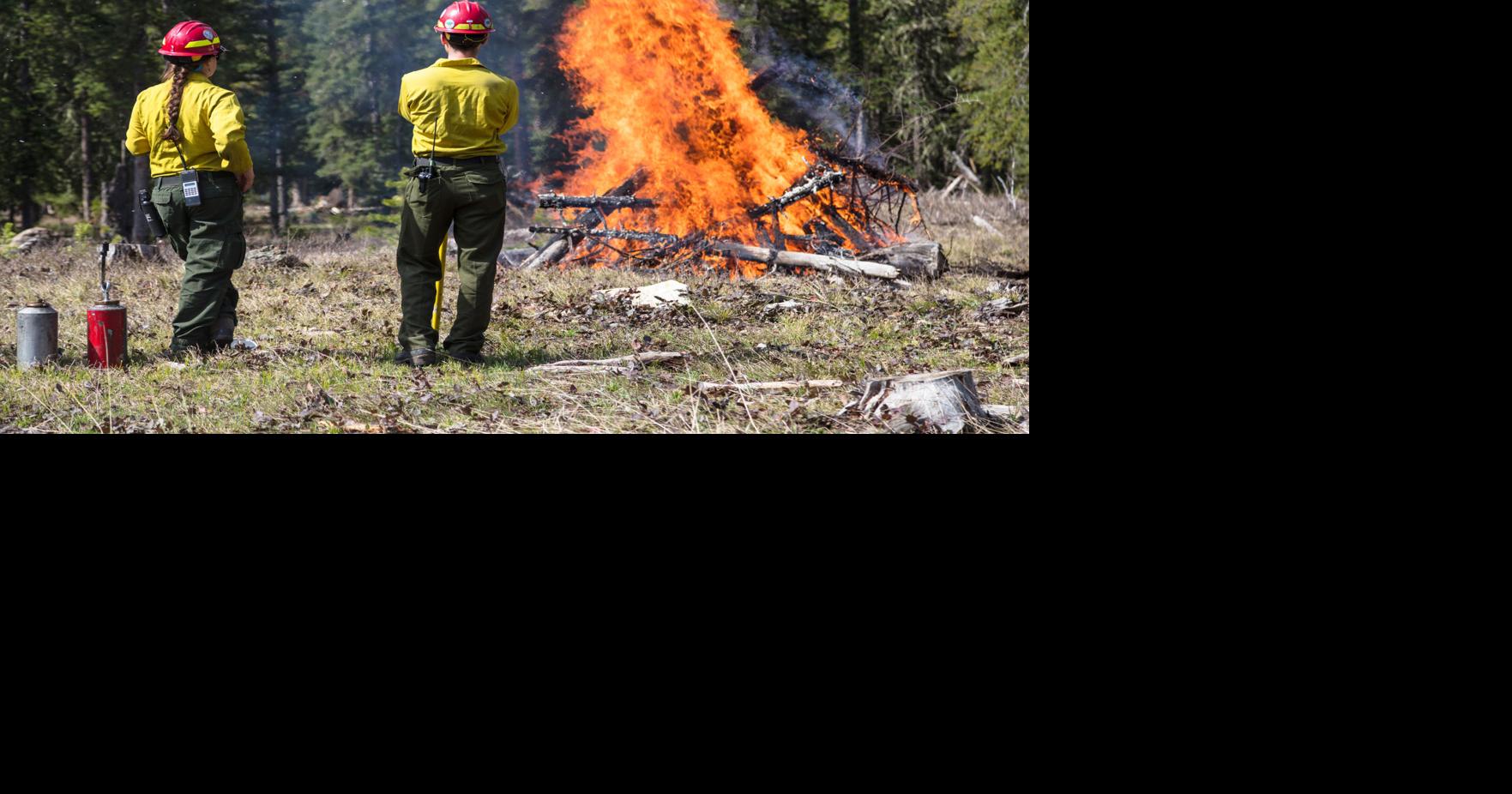 Pile burns in Yellowstone | | rexburgstandardjournal.com