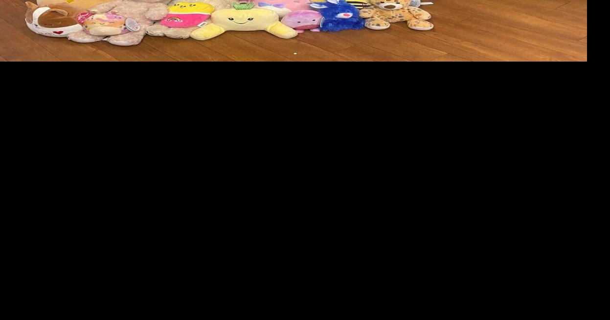 Temple View Transitional Care hosting stuffed animal drive | Local News ...