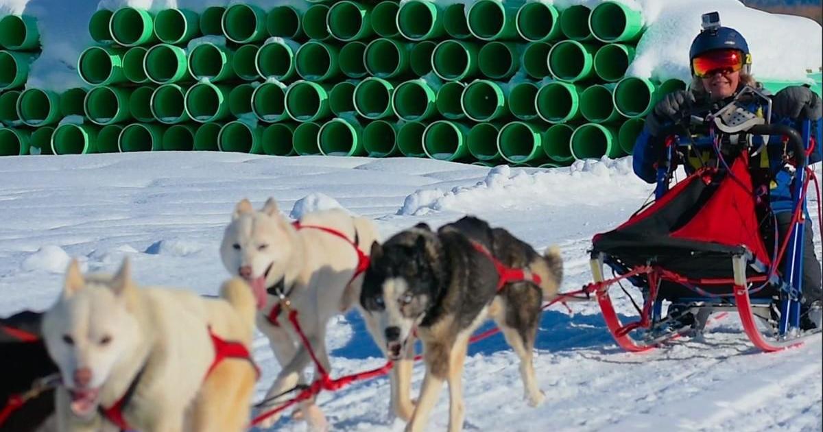 Ashton expects to hold American Dog Derby back in town | Local News ...