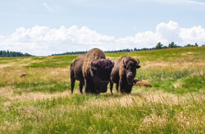 National Park Service releases a final environmental impact statement ...