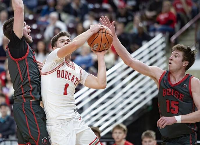 STATE ROUNDUP: Madison boys basketball sees state title aspirations ...