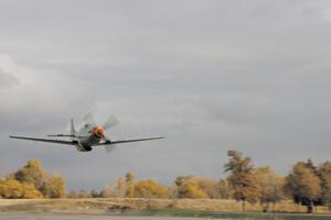 The "Mormon Mustang" rides again | News | rexburgstandardjournal.com