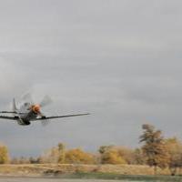 The "Mormon Mustang" rides again | News | rexburgstandardjournal.com