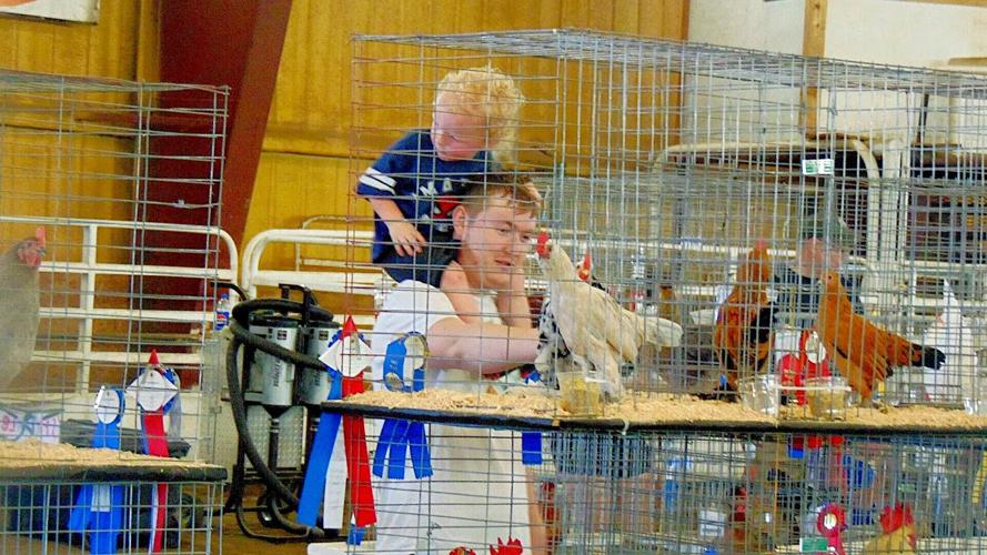 Madison County Fair 2025 | Local News | rexburgstandardjournal.com