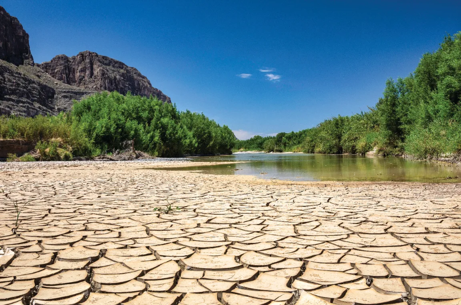 Farmers working together to survive severe drought conditions | Local ...