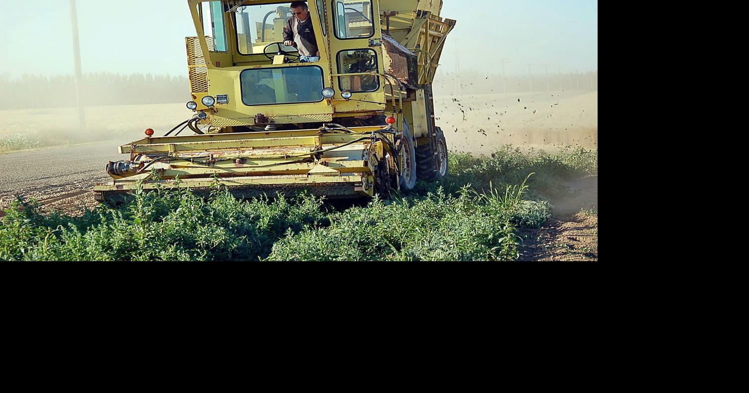 Record heat shifts to killing frost in Eastern Idaho | Idaho ...