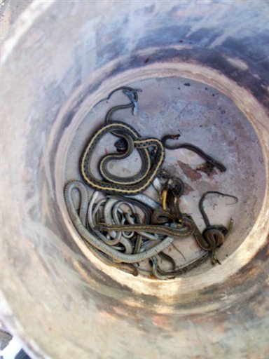 The Snake House | | rexburgstandardjournal.com