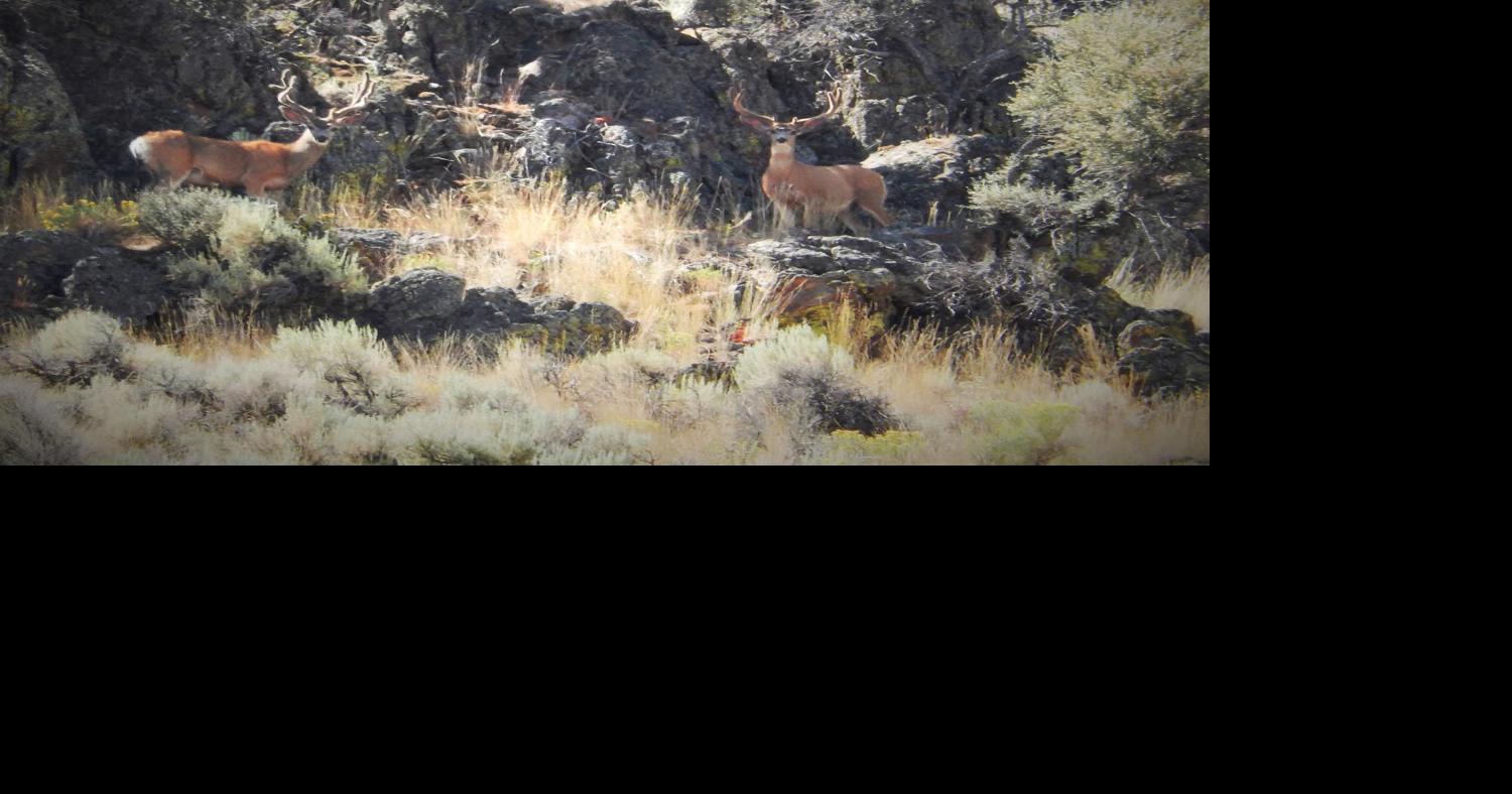 Annual Stinking Springs area closure in effect | Outdoors ...