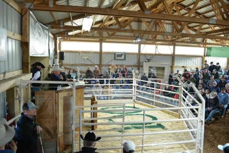 'PIONEER HERD OF THE WEST': Bliss ranchers boast oldest continuous ...