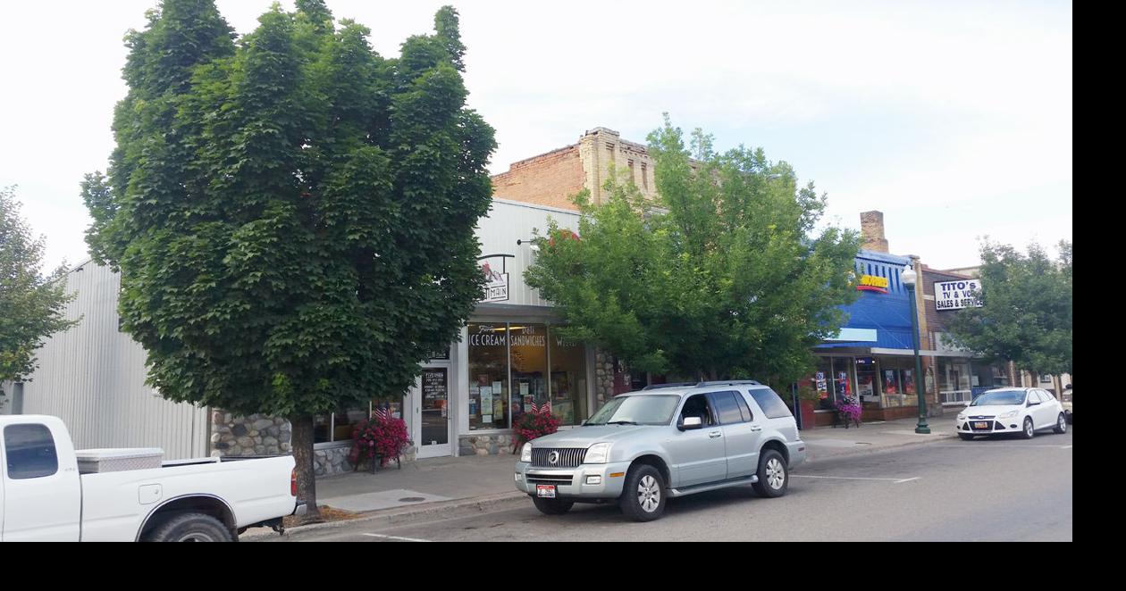 Maple tree at root of Ashton controversy: Group of local citizens say ...
