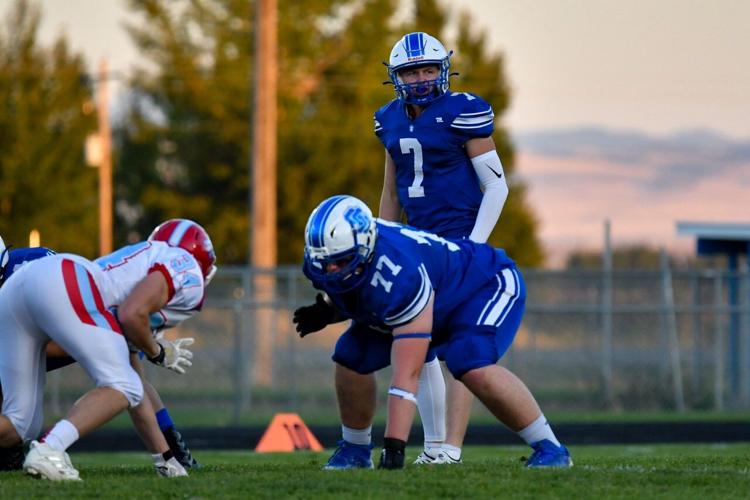 Sugar-Salem's Neal leading Diggers on another championship run | Sports ...