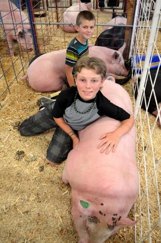 Lyman boys enter pigs into Madison County Fair | Local News ...
