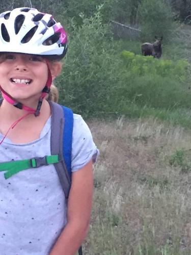 Baby Bullwinkle spied in Rexburg on Tuesday night, Wednesday morning ...