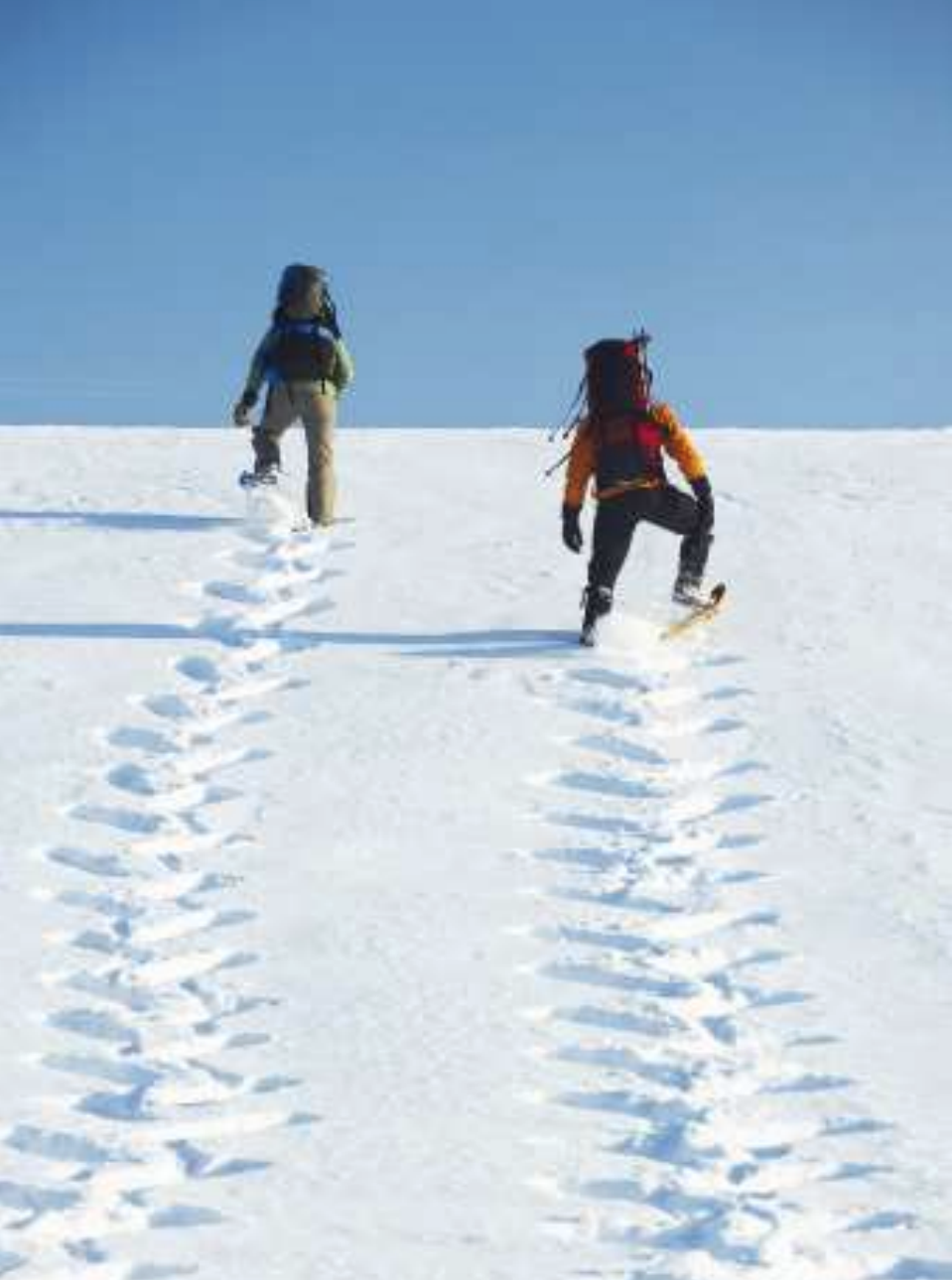 Snowshoes used in FCSAR rescue of snowmobilers | Local News ...