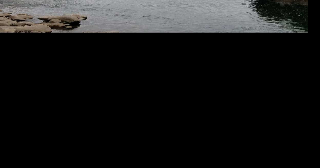 A first look at a possible Doughboy bridge | News ...