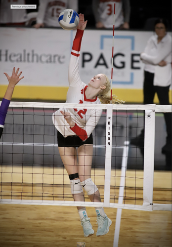Madison Volleyball continues winning streak | Local News ...