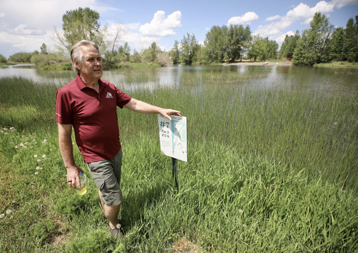 Aspen Acres Disc Golf Course - 'a 25-hole rollercoaster' near Sugar ...