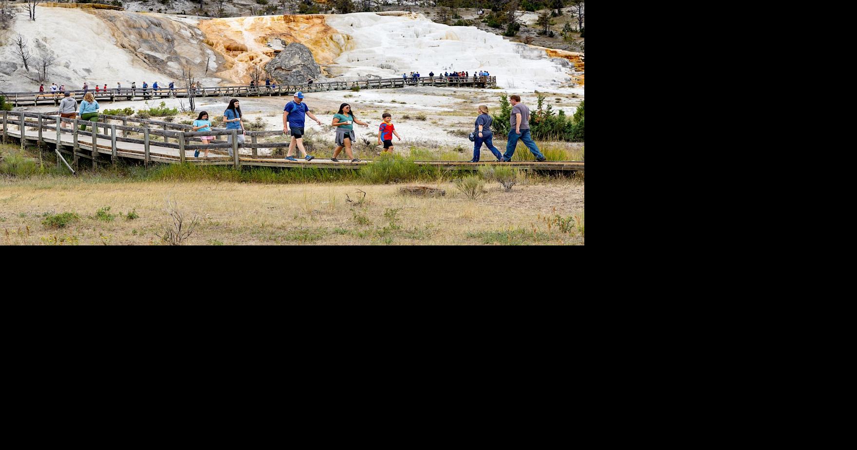 Yellowstone visitation statistics for May 2025 | Idaho ...