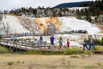 Yellowstone visitation statistics for May 2025 | Idaho ...