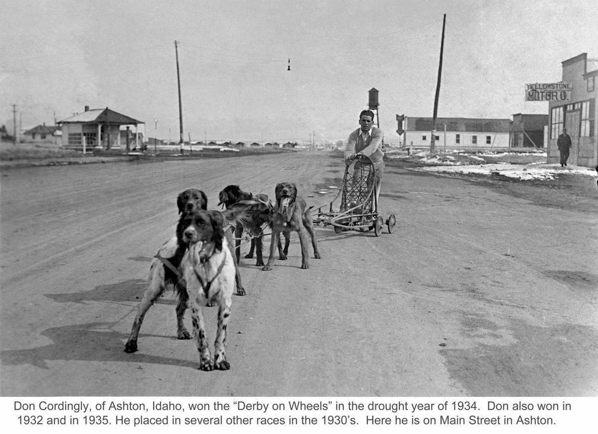 The American Dog Derby: A revived, revered tradition | Local News ...