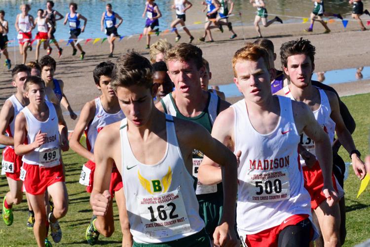 Madison cross country brings home state trophies | Sports ...
