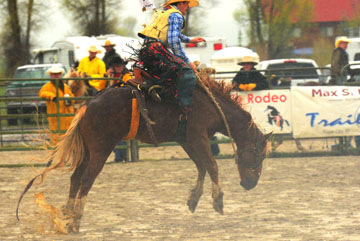State Bound | Sports | rexburgstandardjournal.com