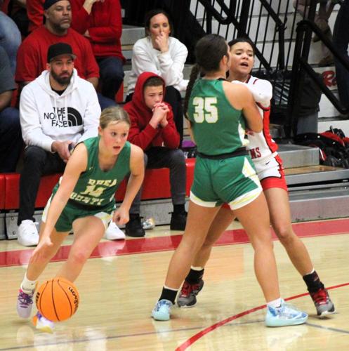 Rhea sweeps Loudon | Sports | rheaheraldnews.com