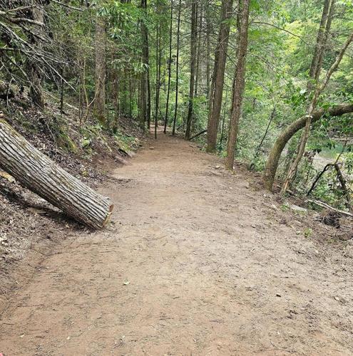 Cumberland Trail work underway | News | rheaheraldnews.com