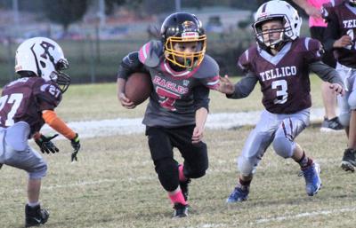 Split decision for Little Eagles | Sports | rheaheraldnews.com