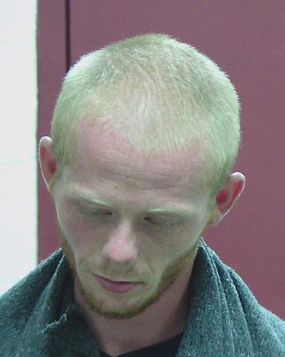 Deputies bust pot growing operation | News | rheaheraldnews.com
