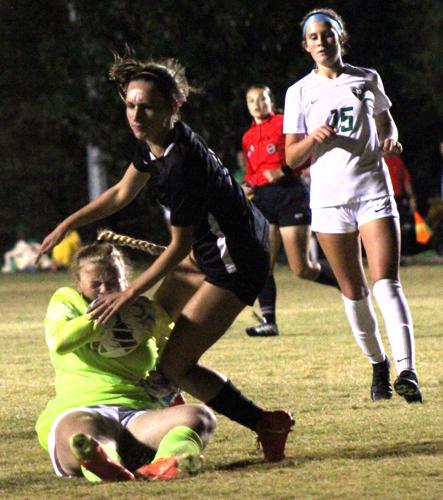 Lady Eagles make history | Sports | rheaheraldnews.com