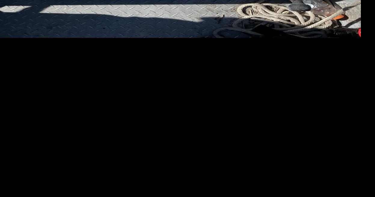 300 catfish found dead in Lake Chickamauga of mystery cause | News ...