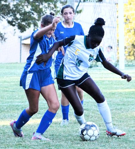 Rhea Middle's successful soccer season ends | Sports | rheaheraldnews.com