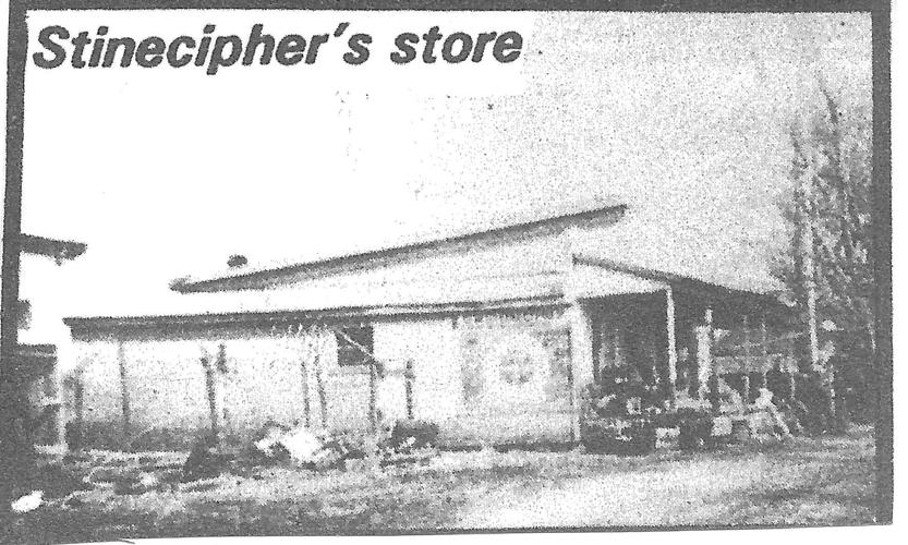 Remembering Rhea Springs: Part 9, More Rhea Springs Families ...