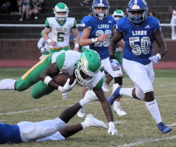 Lion Killers | Sports | rheaheraldnews.com