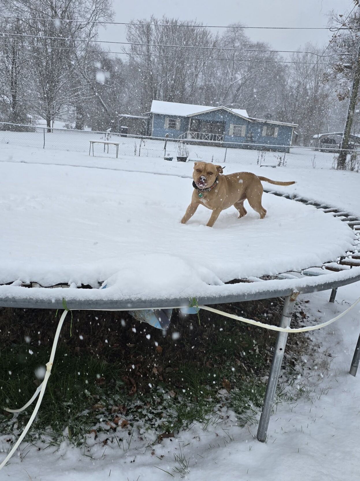 Snow day in Rhea | News | rheaheraldnews.com