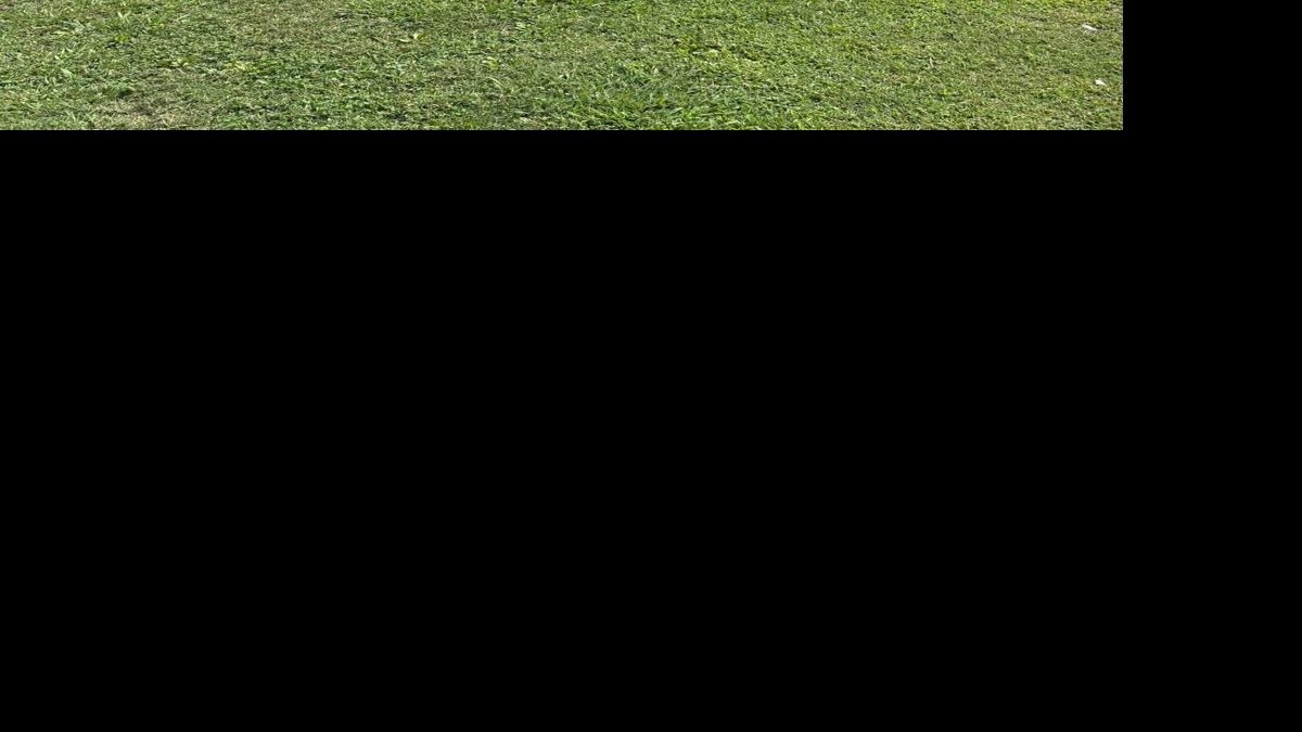 Local News | rheaheraldnews.com