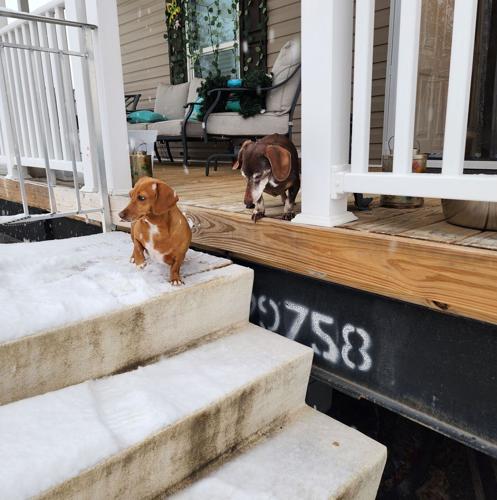 Snow day in Rhea | News | rheaheraldnews.com